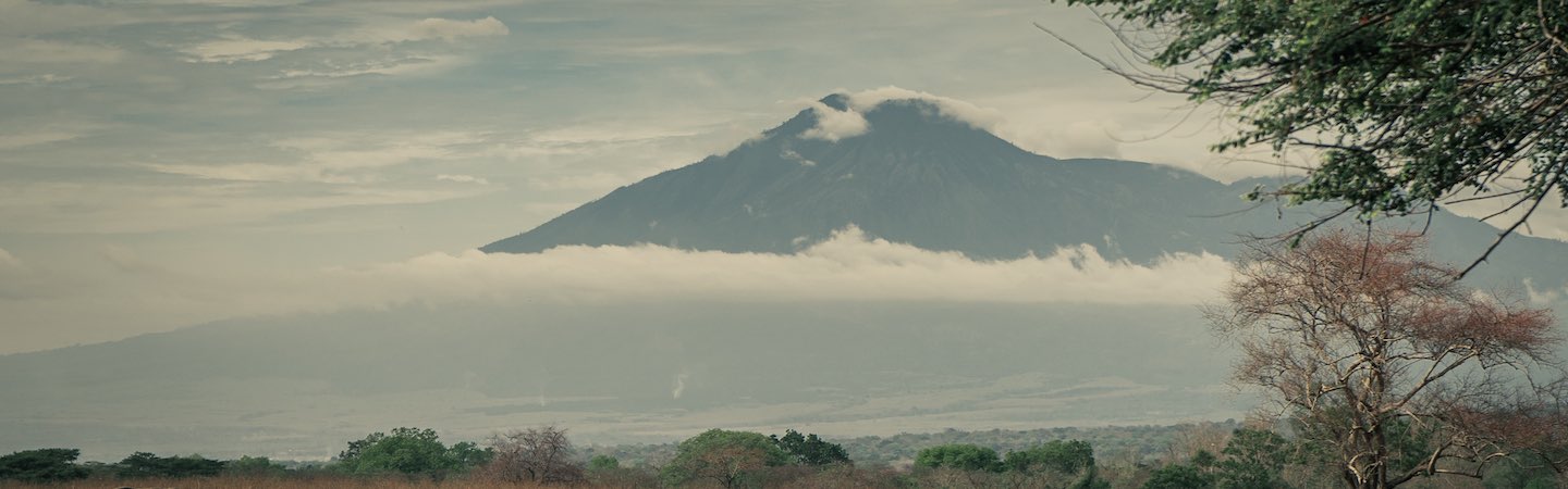 Install Java with asdf | Peaceful Revolution