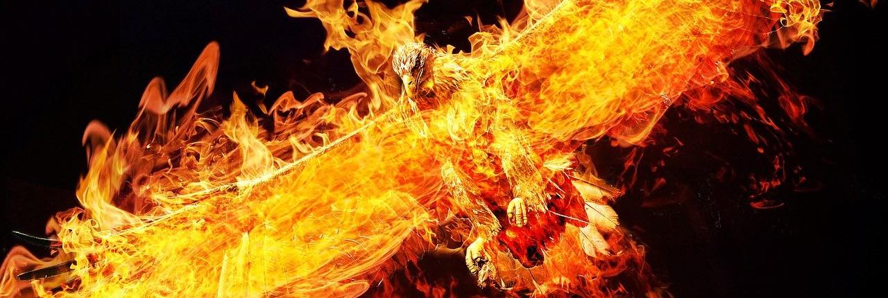 Making My First Contribution to the Phoenix Framework | Peaceful Revolution